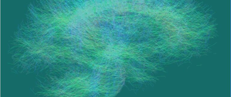 Coma Science Group – Understanding Consciousness