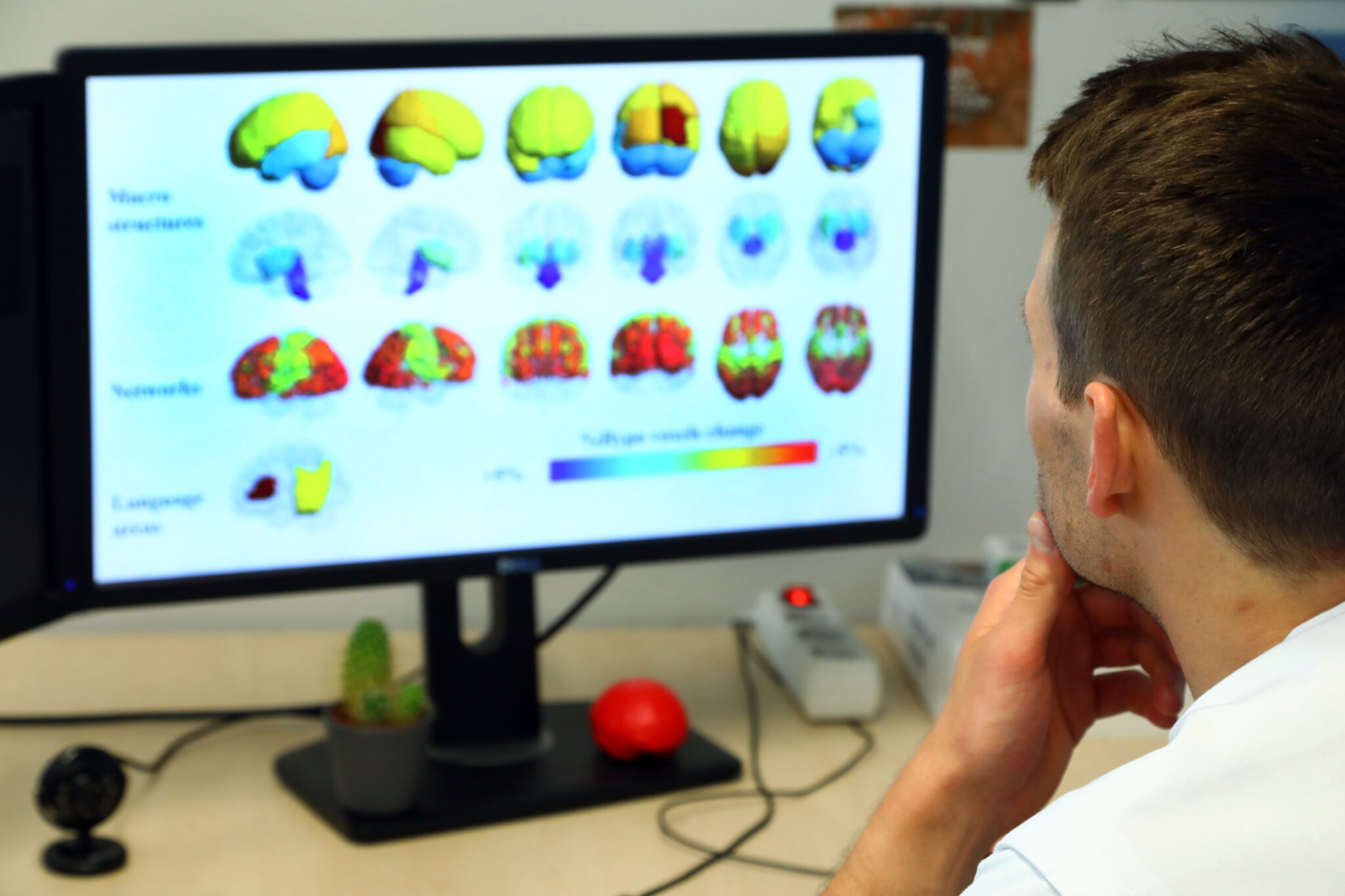 Research – Coma Science Group